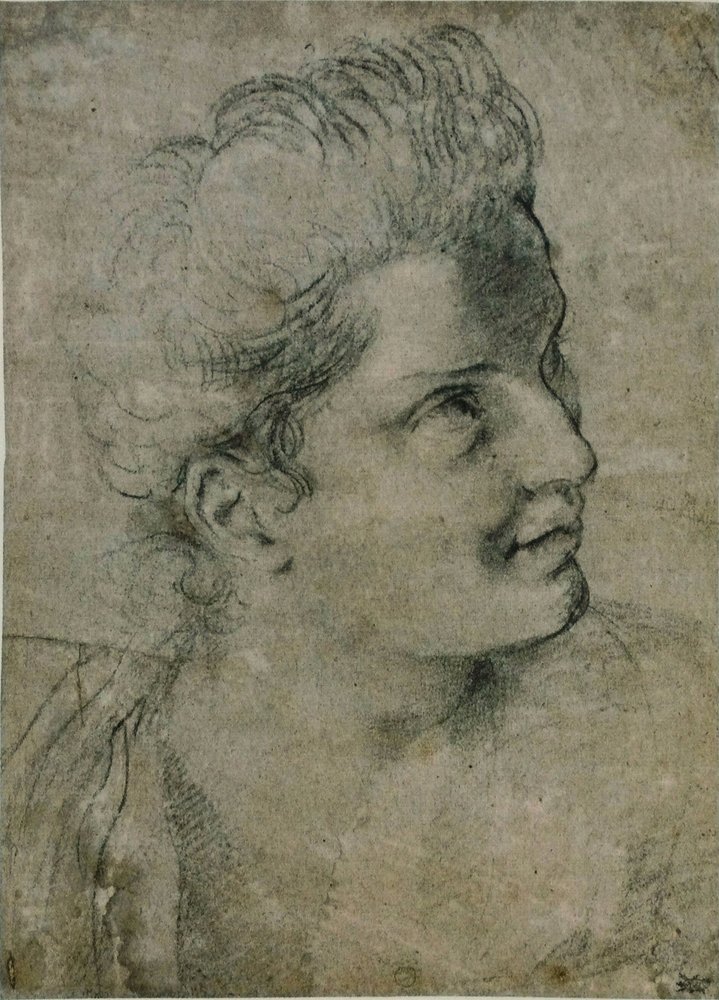 Testa di donna | Annibale Carracci | Stampa d'arte