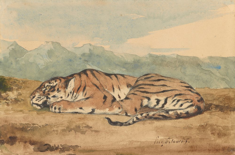 Tigre reale | Ferdinand Victor Eugene Delacroix