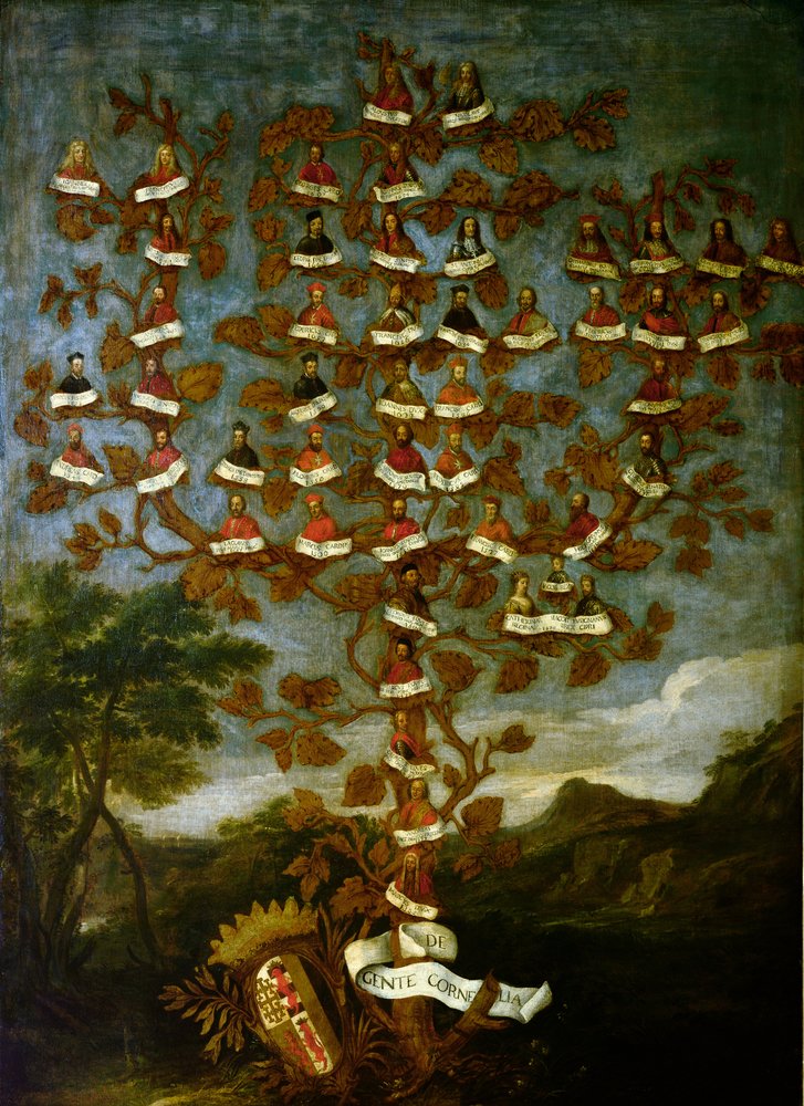Albero genealogico della famiglia Cornaro | Stampa d'arte