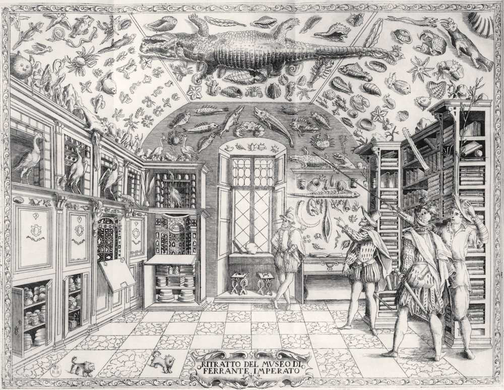 Il Museo di Storia Naturale dell'Imperatore Ferdinando III da Historia ...