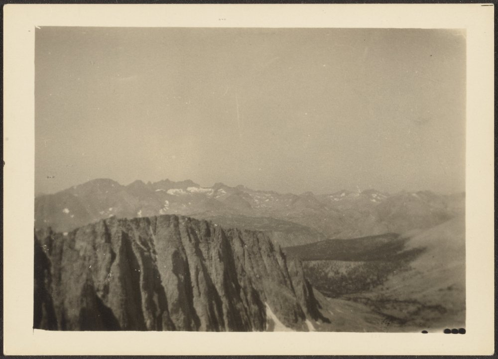 [Parco delle Sequoie] | Louis Fleckenstein | Stampa d'arte