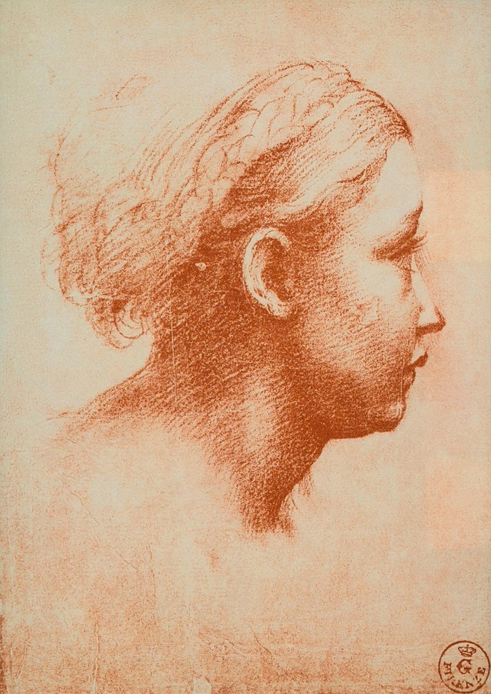 Testa femminile di profilo | Raffaello Sanzio Raphael