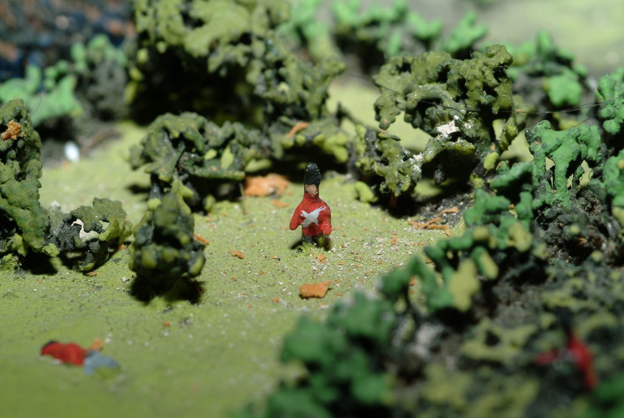 Diorama della Battaglia di Waterloo che mostra le truppe posizionate ...