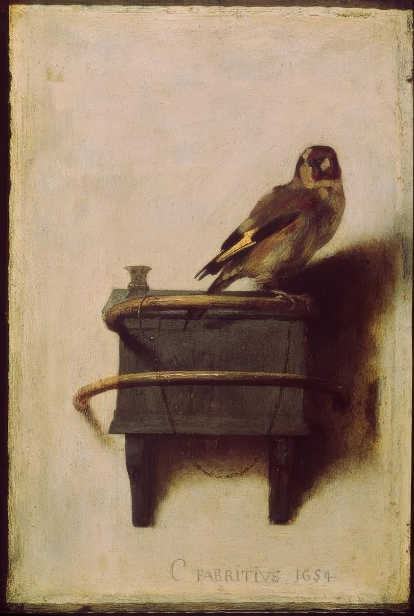 Il cardellino | Carel Fabritius | Stampa d'arte