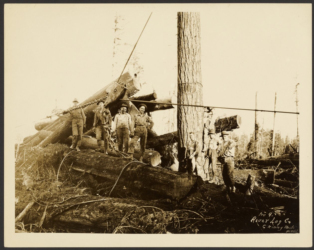 [Logger] | Darius Kinsey | Stampa d'arte