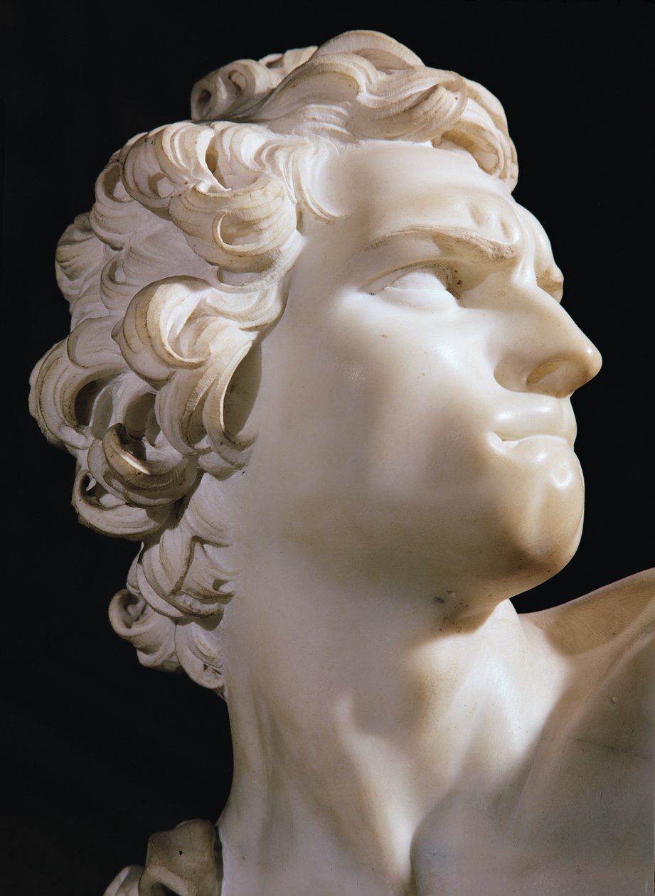 Davide (dettaglio) | Gian Lorenzo Bernini | Stampa d'arte
