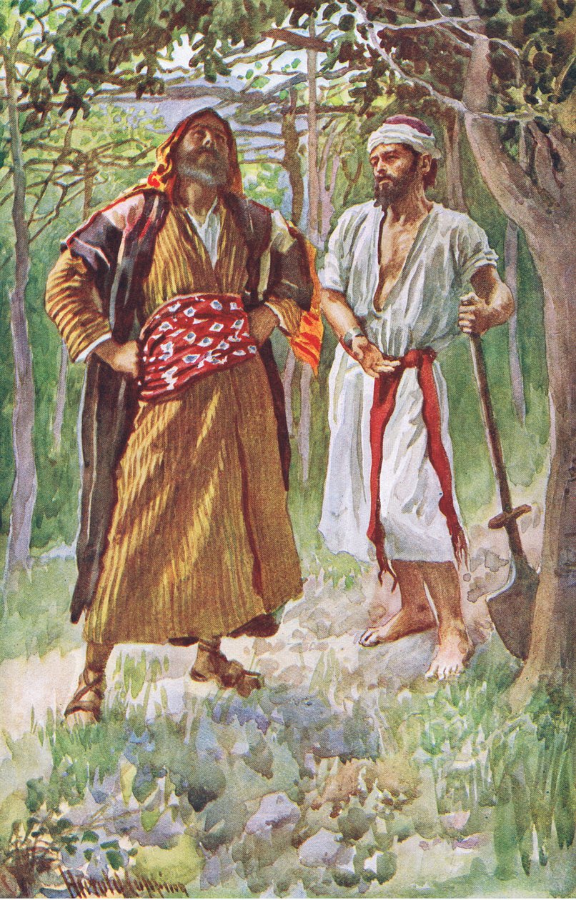 Il fico sterile, illustrazione da Harold Copping Pictures: The Crown ...