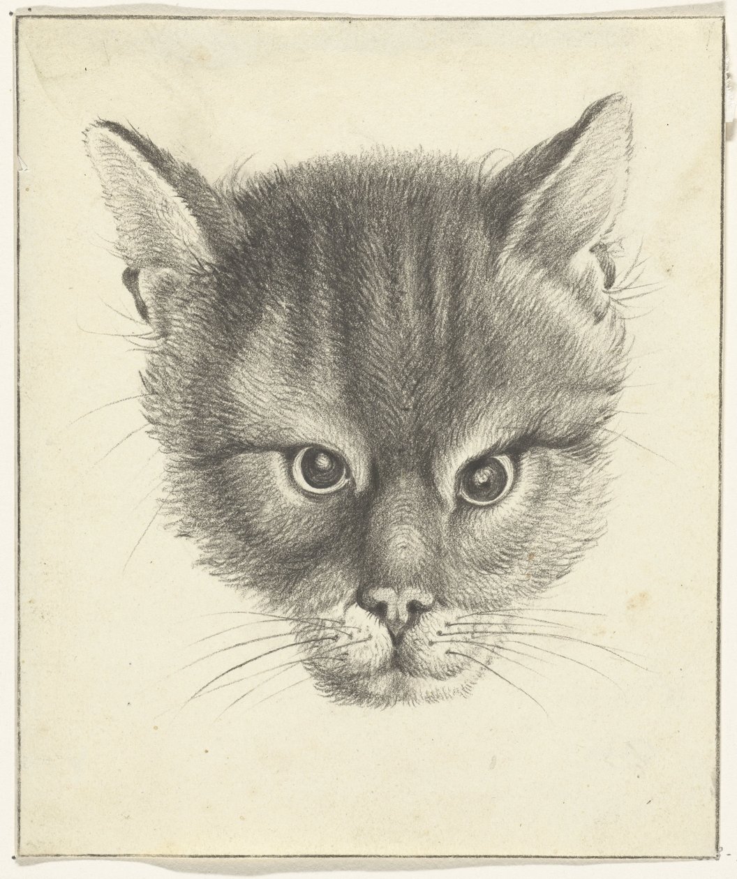 Contorno Del Disegno Della Testa Del Gatto
