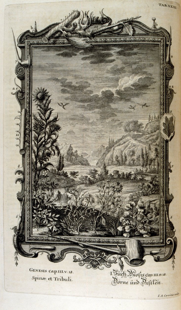 Incisione su rame da 'Physica Sacra' dello studioso svizzero Johann ...