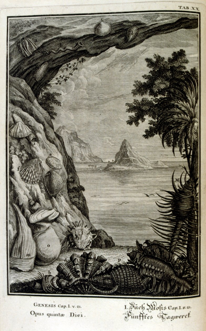 Incisione su rame da 'Physica Sacra' dello studioso svizzero Johann ...