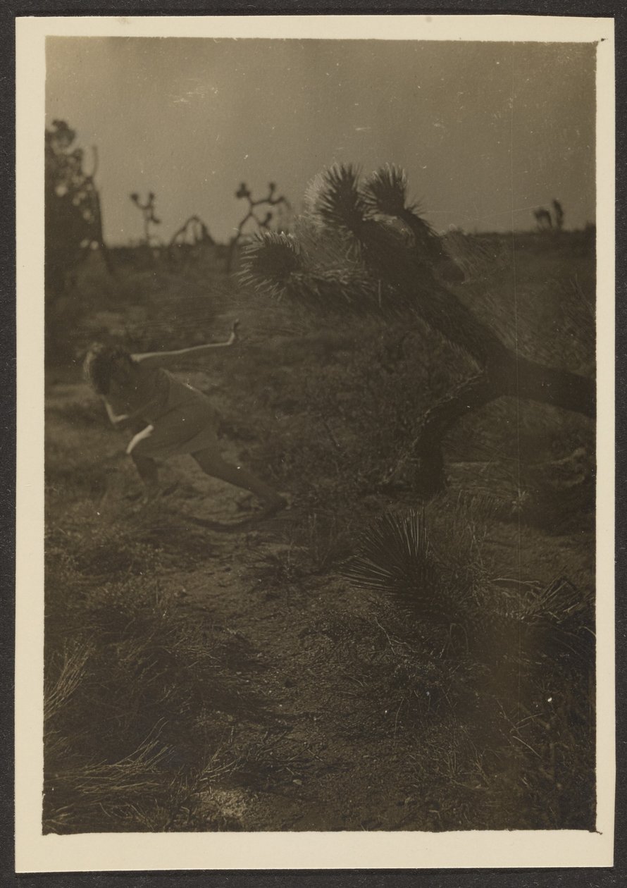 [Bogey Man of the Desert] | Louis Fleckenstein