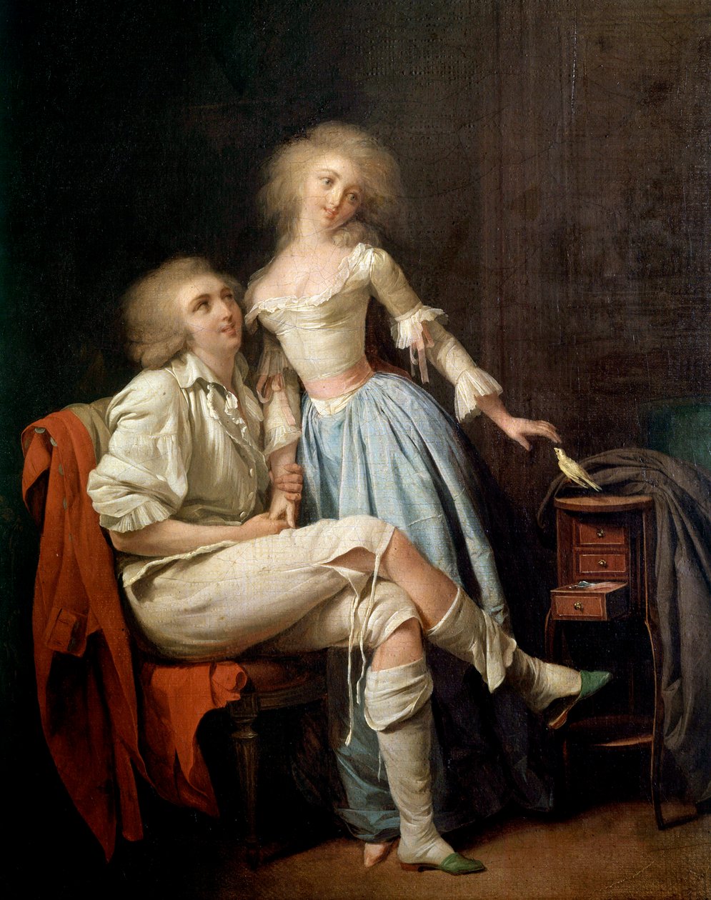 L'uccello privato dice anche la coppia e l'uccello vola