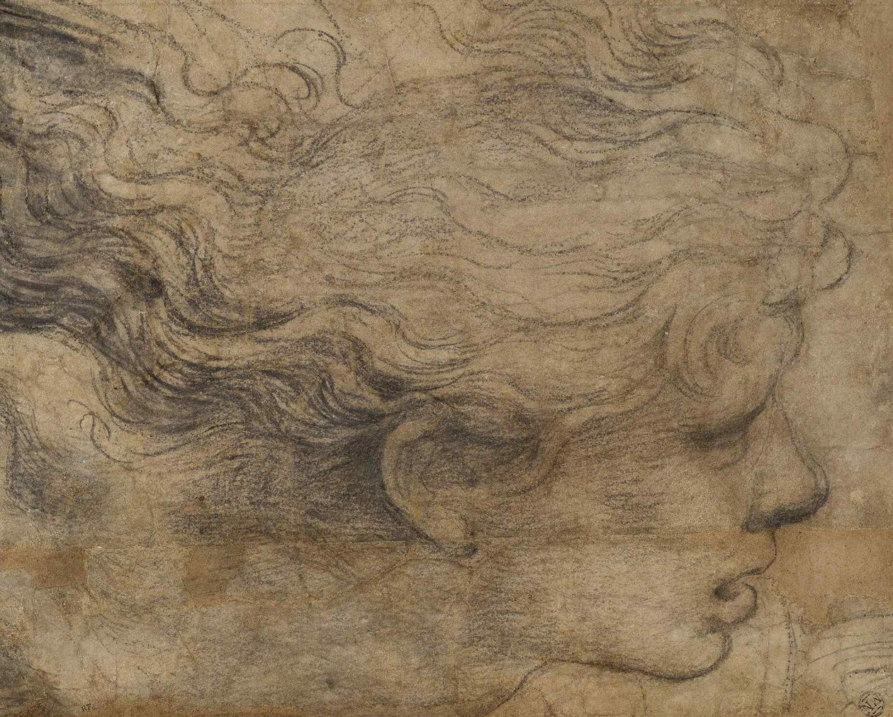 Testa di un angelo | Raffaello Sanzio Raphael