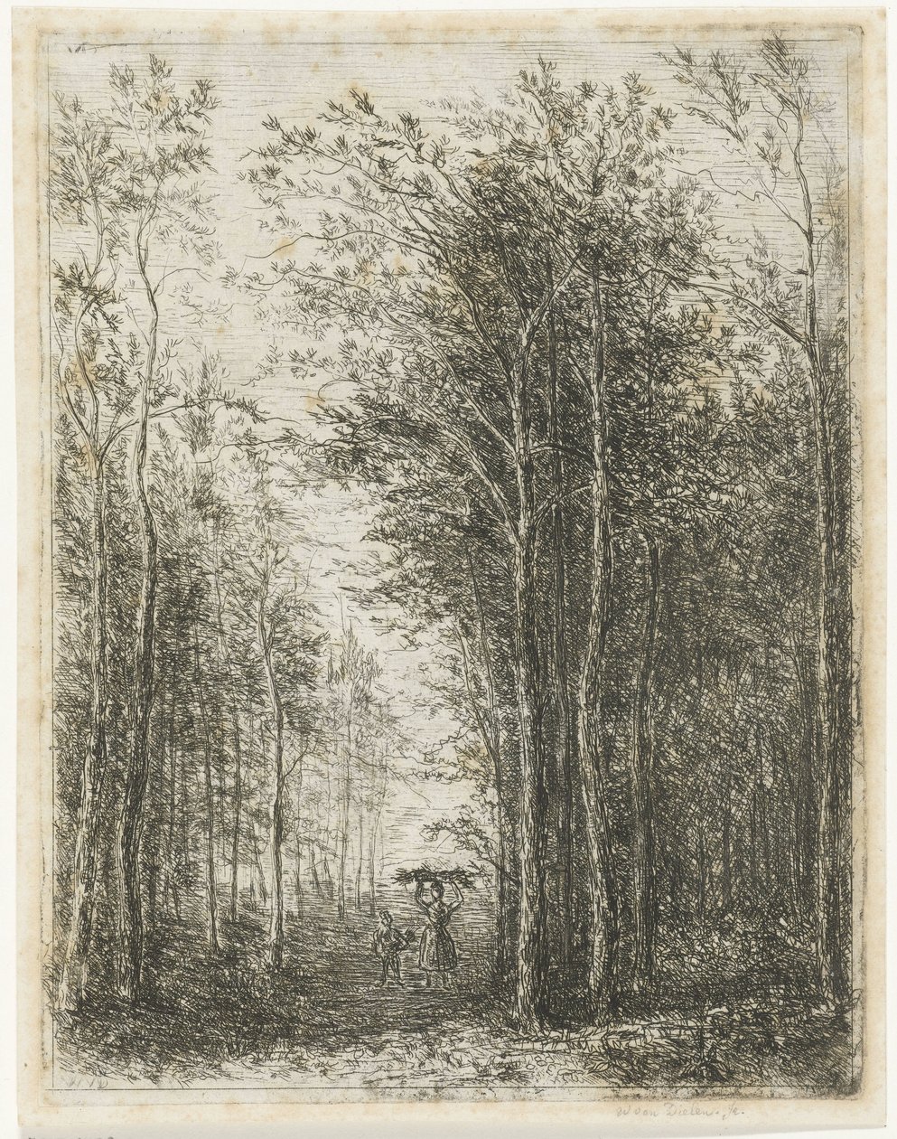 Paesaggio boschivo con raccoglitori di legna